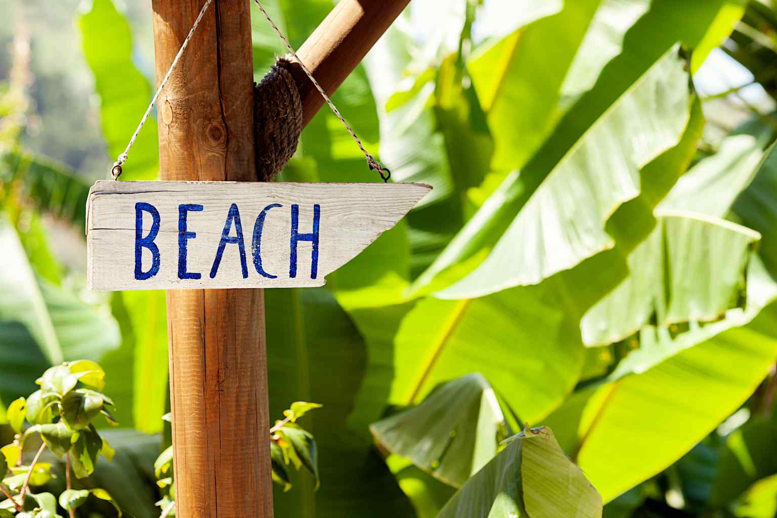 Paris - bestill en reise med fly og hotell | Ving